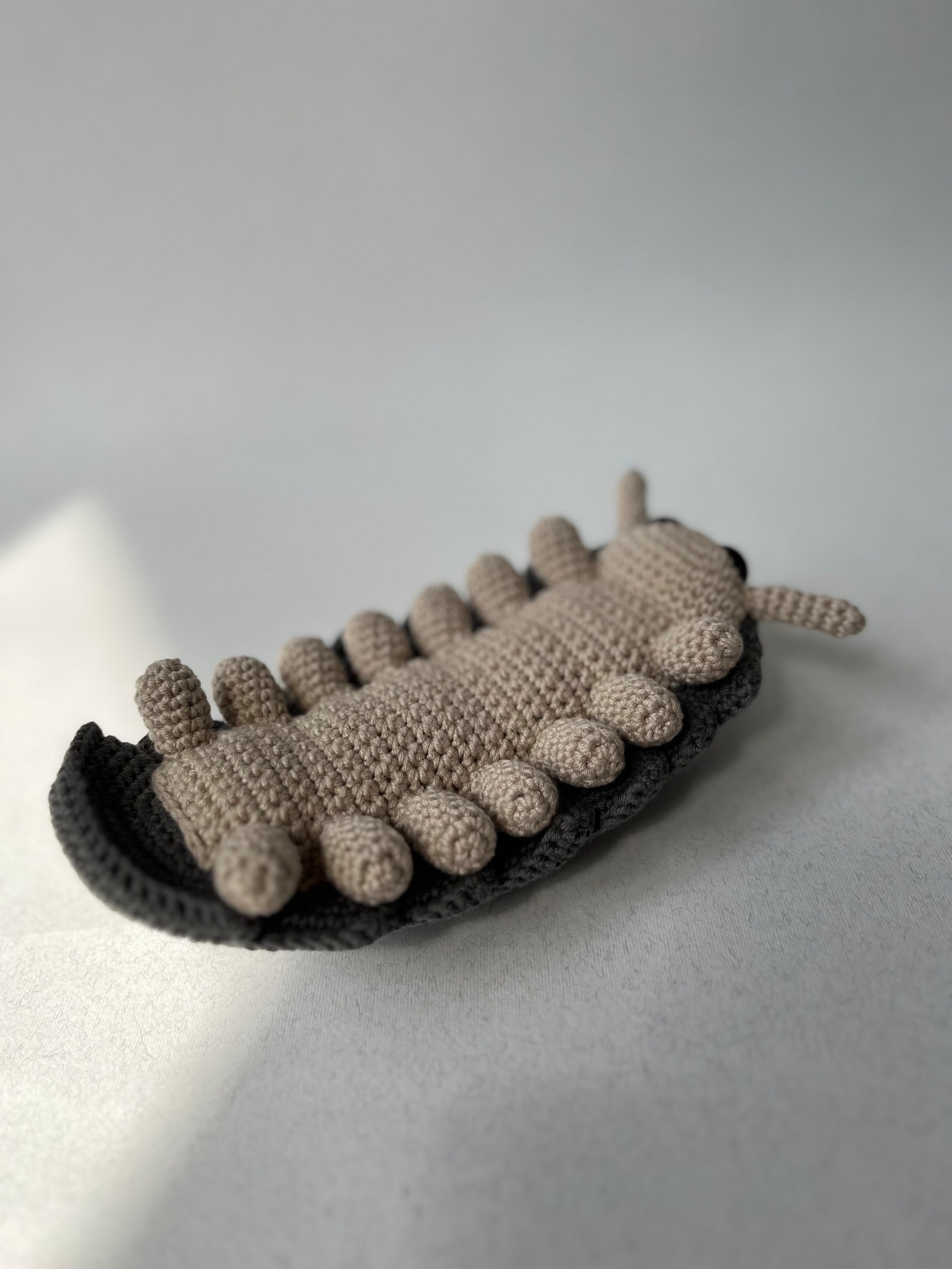 Roly Poly Pill Bug Crochet Pattern, PDF File in English Language - Etsy UK
