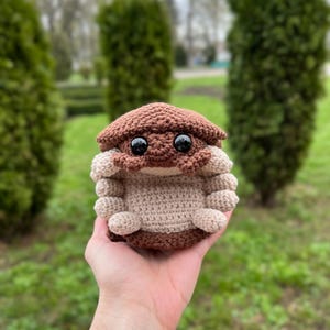 Plush Roly Poly Pill Bug Crochet Pattern: Amigurumi Isopod (PDF Pattern ...