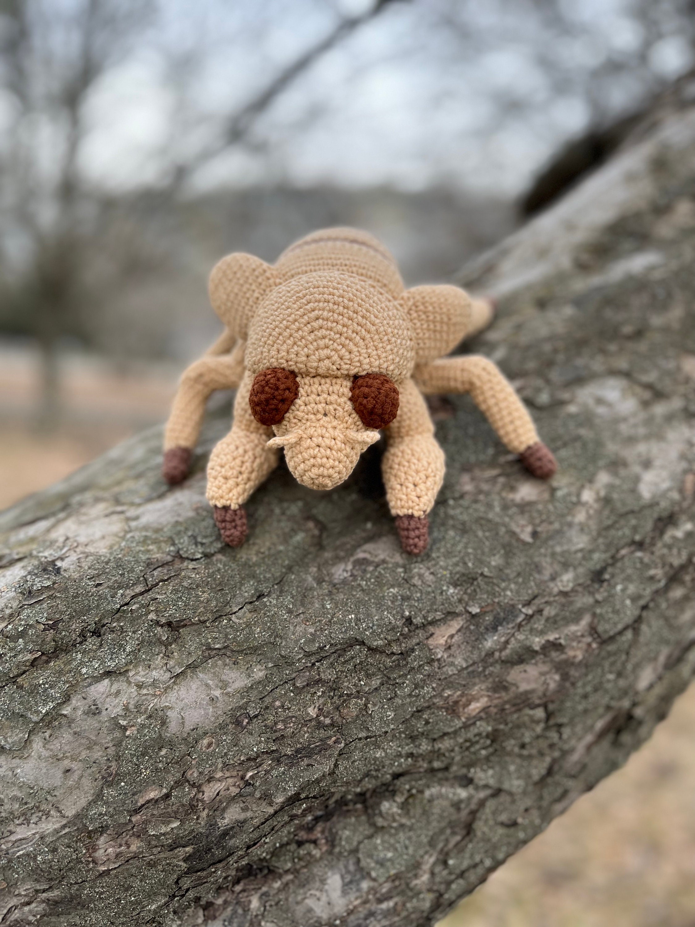 Cicada Nymph Crochet Pattern Amigurumi Cicada Nymph Tutorial Etsy