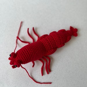 Crochet Lifelike Shrimp Prawn Pattern PDF File in English - Etsy