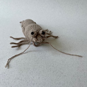 Crochet Lifelike Shrimp Prawn Pattern PDF File in English - Etsy