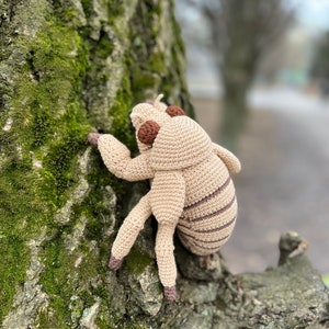 Cicada Nymph Crochet Pattern, Amigurumi Cicada Nymph Tutorial, PDF File ...