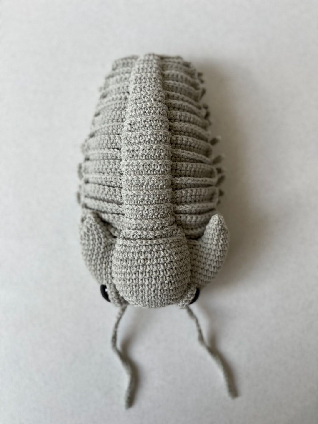 Trilobite Crocheted Toy Trilobite Plushy - Etsy