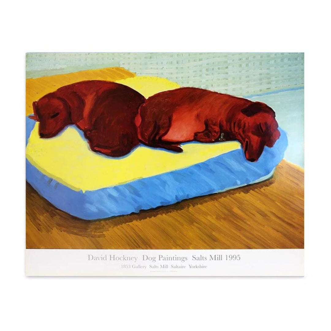 David Hockney Dog 38 Poster - Etsy UK