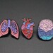 Trio Organ Pin Pack - Enamel Pin - Anatomy - Medical - Etsy