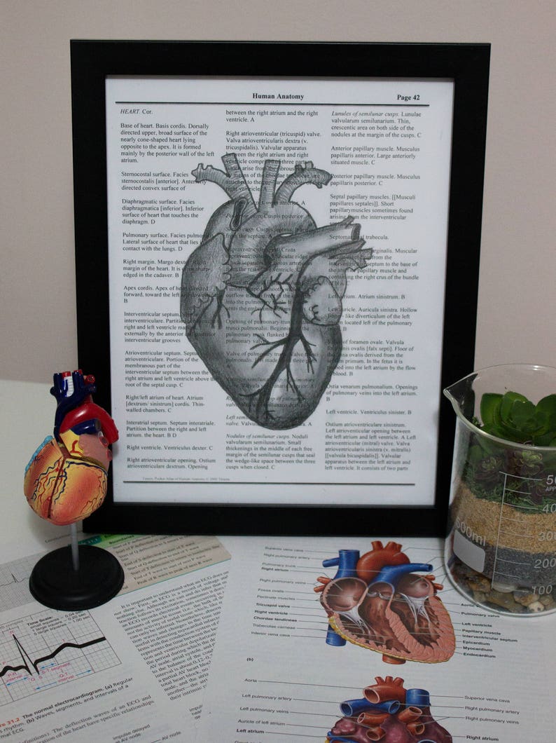 Heart Art Print - Textbook Page - Human Anatomy - Medical Print - Wall ...