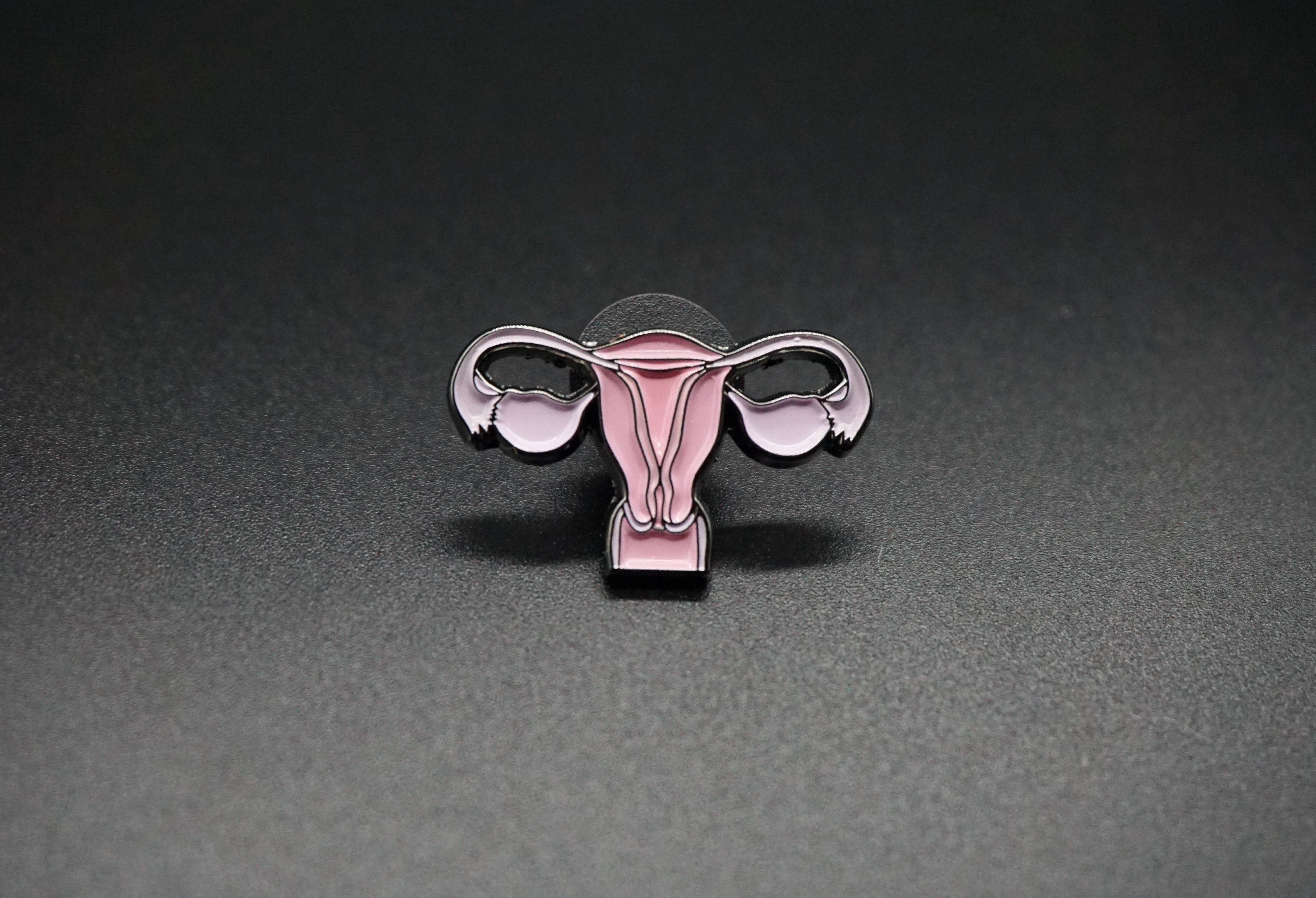 Uterus pin enamel pin anatomy medical | Etsy