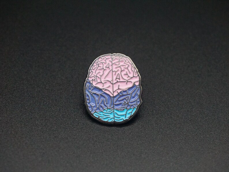 Brain Pin enamel pin anatomy medical | Etsy