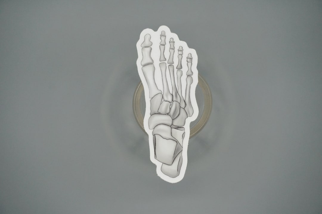 Skeletal Foot Sticker - Anatomy - Sticker - Medicine - Medical Sticker ...