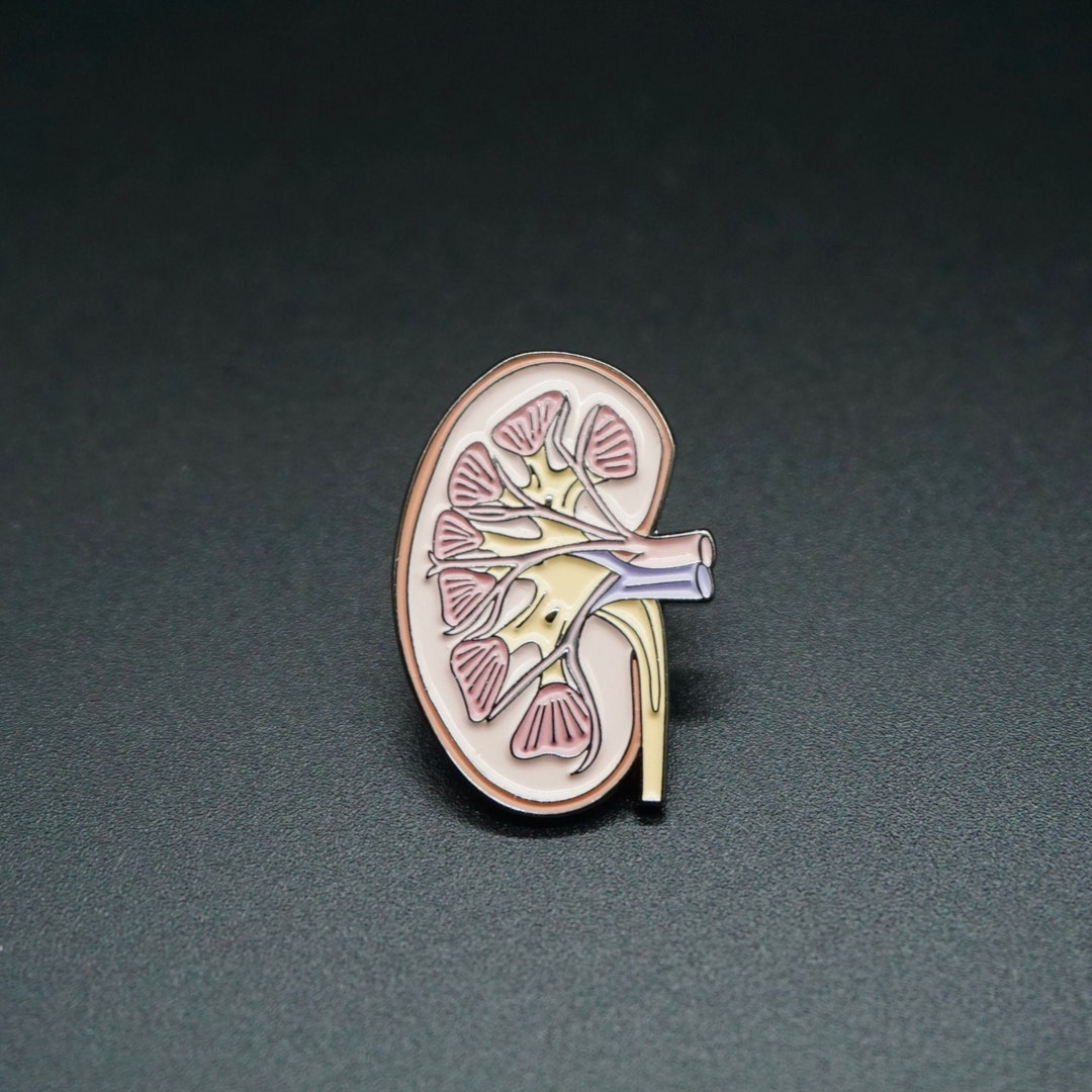 Kidney Pin - Enamel Pin - Anatomy - Medical - Etsy
