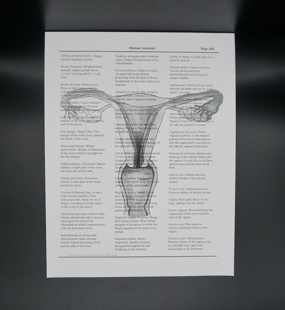 Reproductive System Art Print - Textbook Page - Human Anatomy - Medical ...