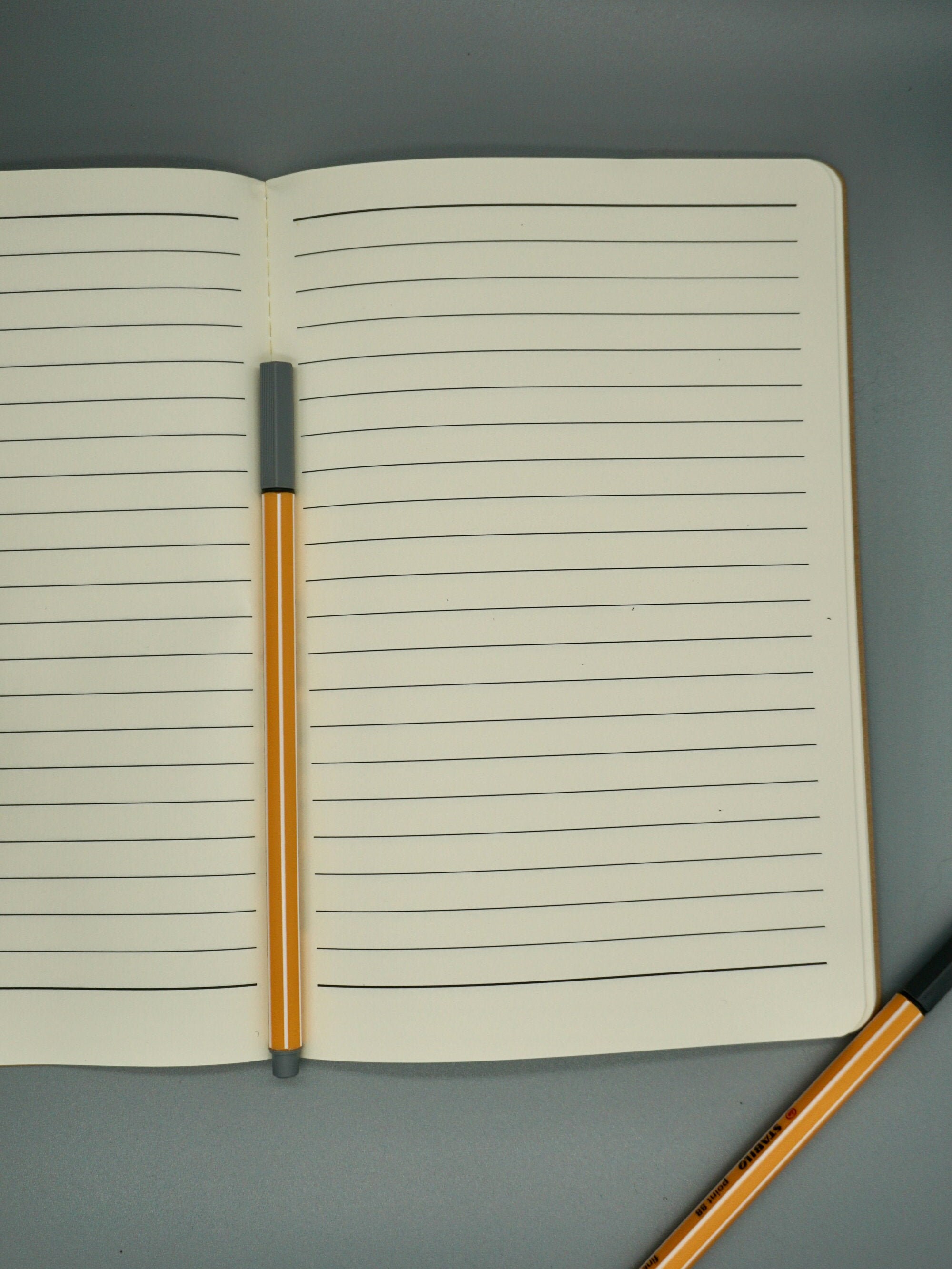 Heart Notebook Notes Lists Anatomy | Etsy