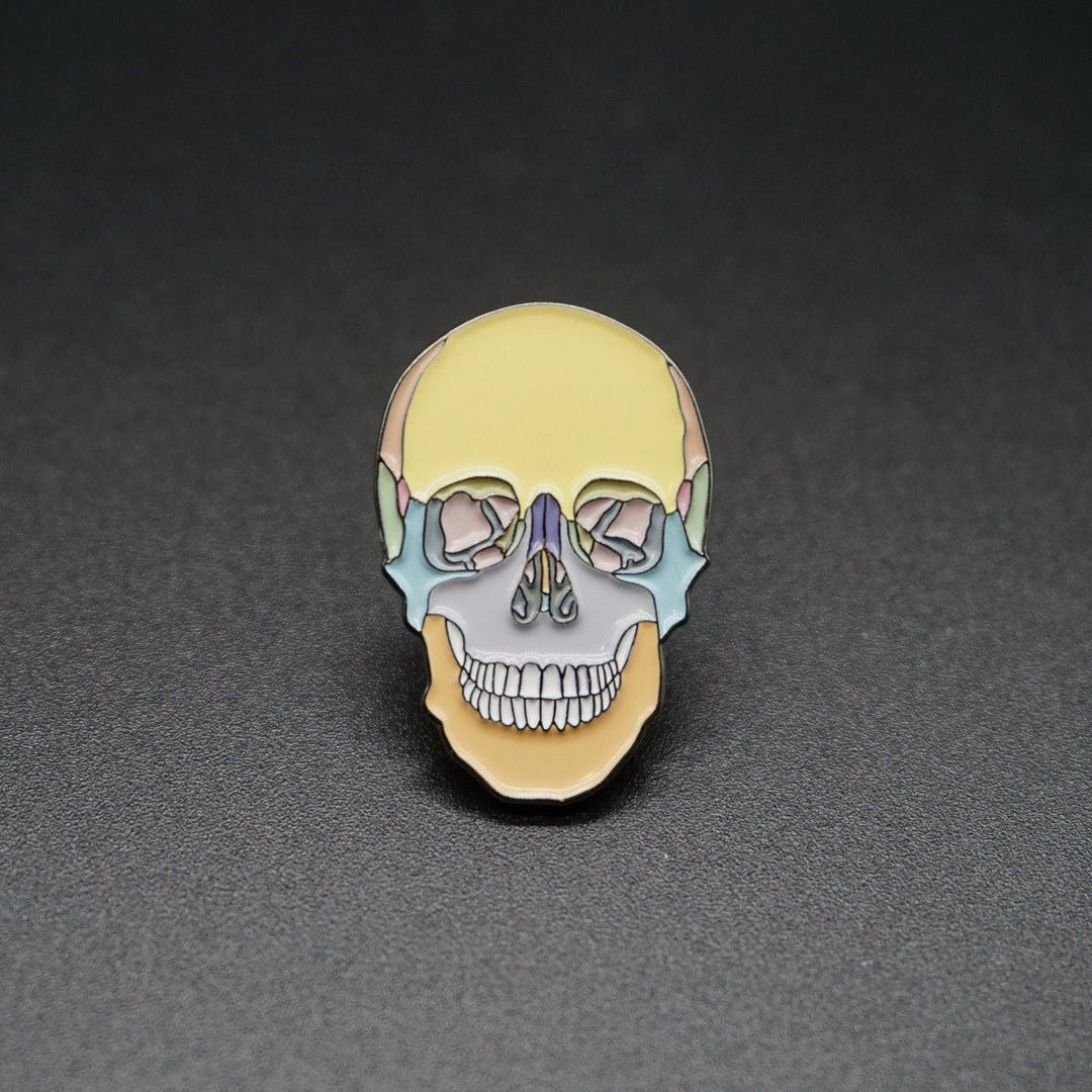 Skull Pin - Enamel Pin - Anatomy - Medical - Etsy