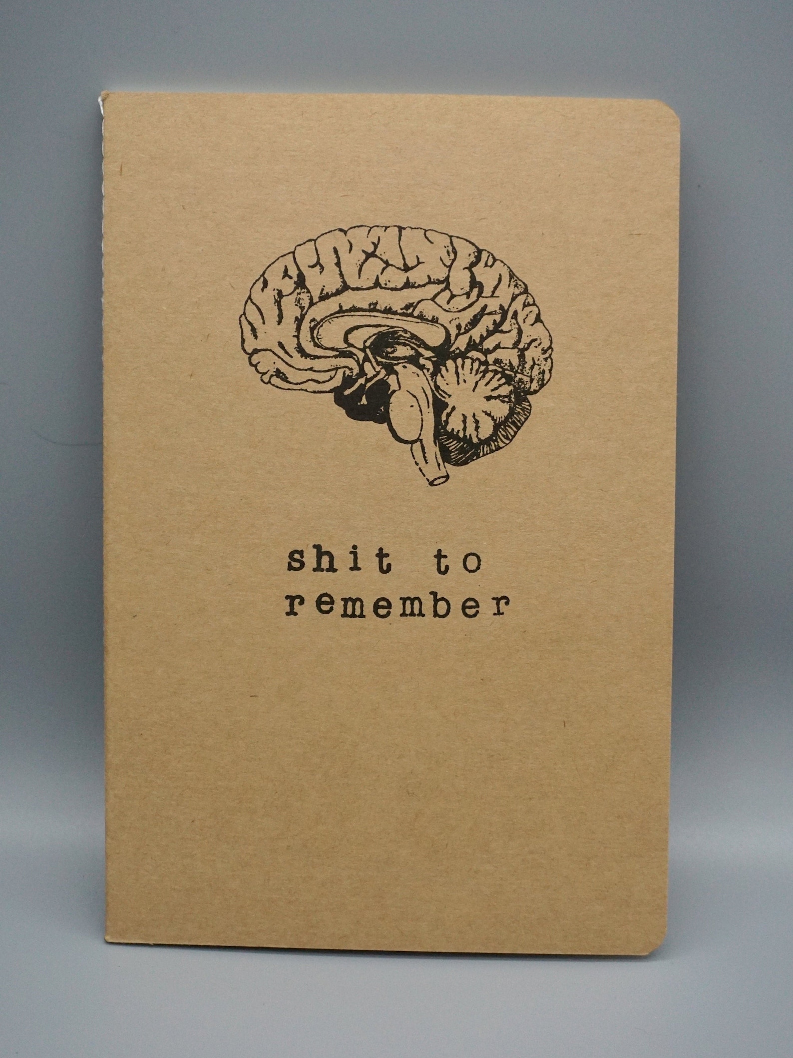 Brain Notebook Notes Lists Anatomy - Etsy