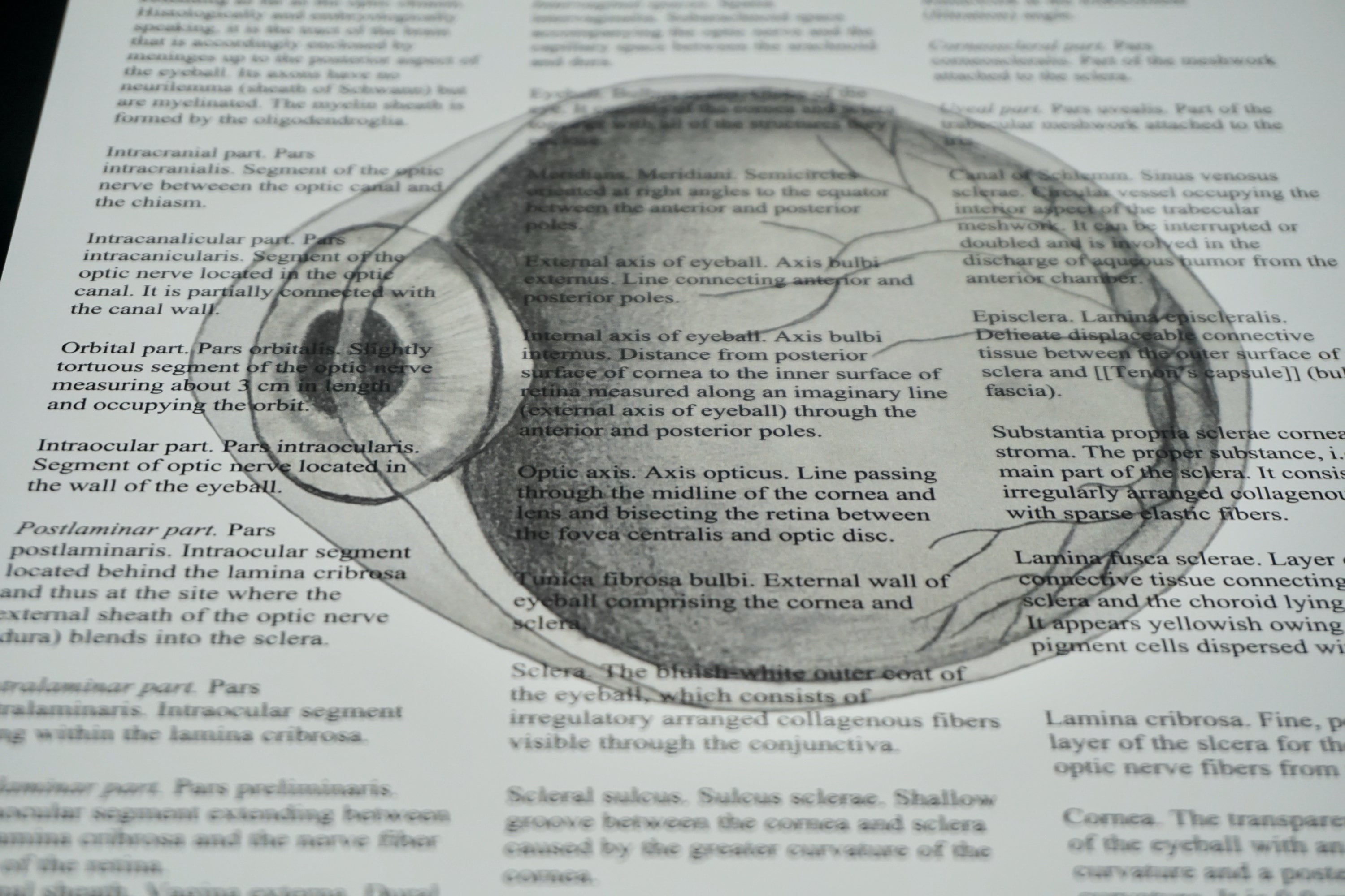 Eye Art Print Textbook Page Human Anatomy Medical Print - Etsy Canada