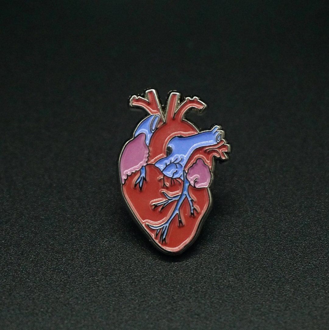 Heart Pin - Enamel Pin - Anatomy - Medical - Etsy