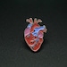 Heart Pin - Enamel Pin - Anatomy - Medical - Etsy