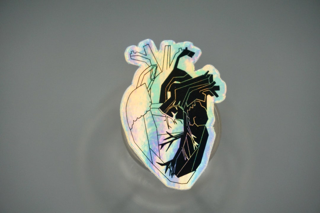 Holographic Anatomical Heart Sticker - Anatomy - Sticker - Medicine ...