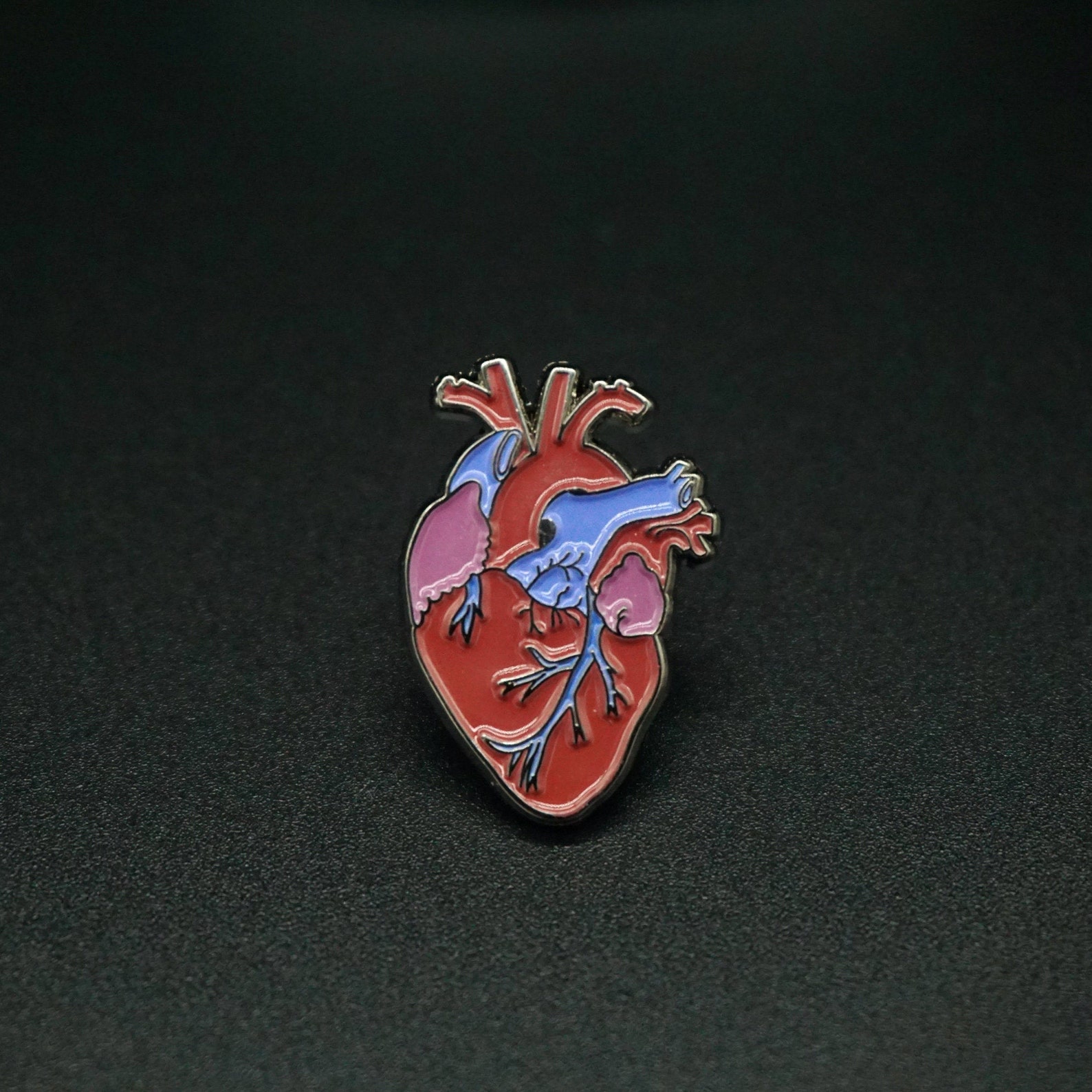Trio Organ Pin Pack - Enamel Pin - Anatomy - Medical - Etsy