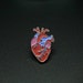 Trio Organ Pin Pack Enamel Pin Anatomy Medical - Etsy