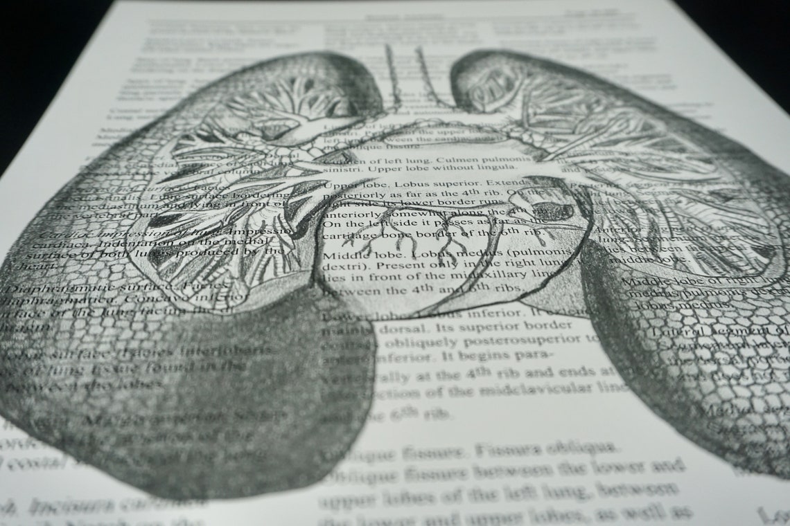 Lung Art Print Textbook Page Human Anatomy Medical Print - Etsy