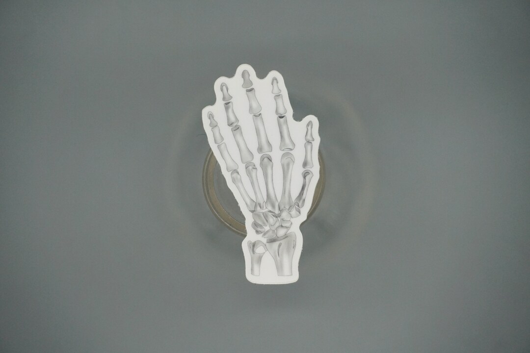 Skeletal Hand Sticker - Anatomy - Sticker - Medicine - Medical Sticker ...