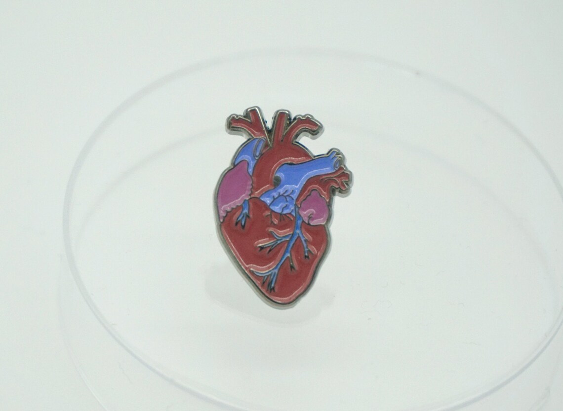Heart Pin Enamel Pin Anatomy Medical | Etsy