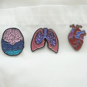 Trio Organ Pin Pack - Enamel Pin - Anatomy - Medical - Etsy