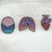 Trio Organ Pin Pack - Enamel Pin - Anatomy - Medical - Etsy