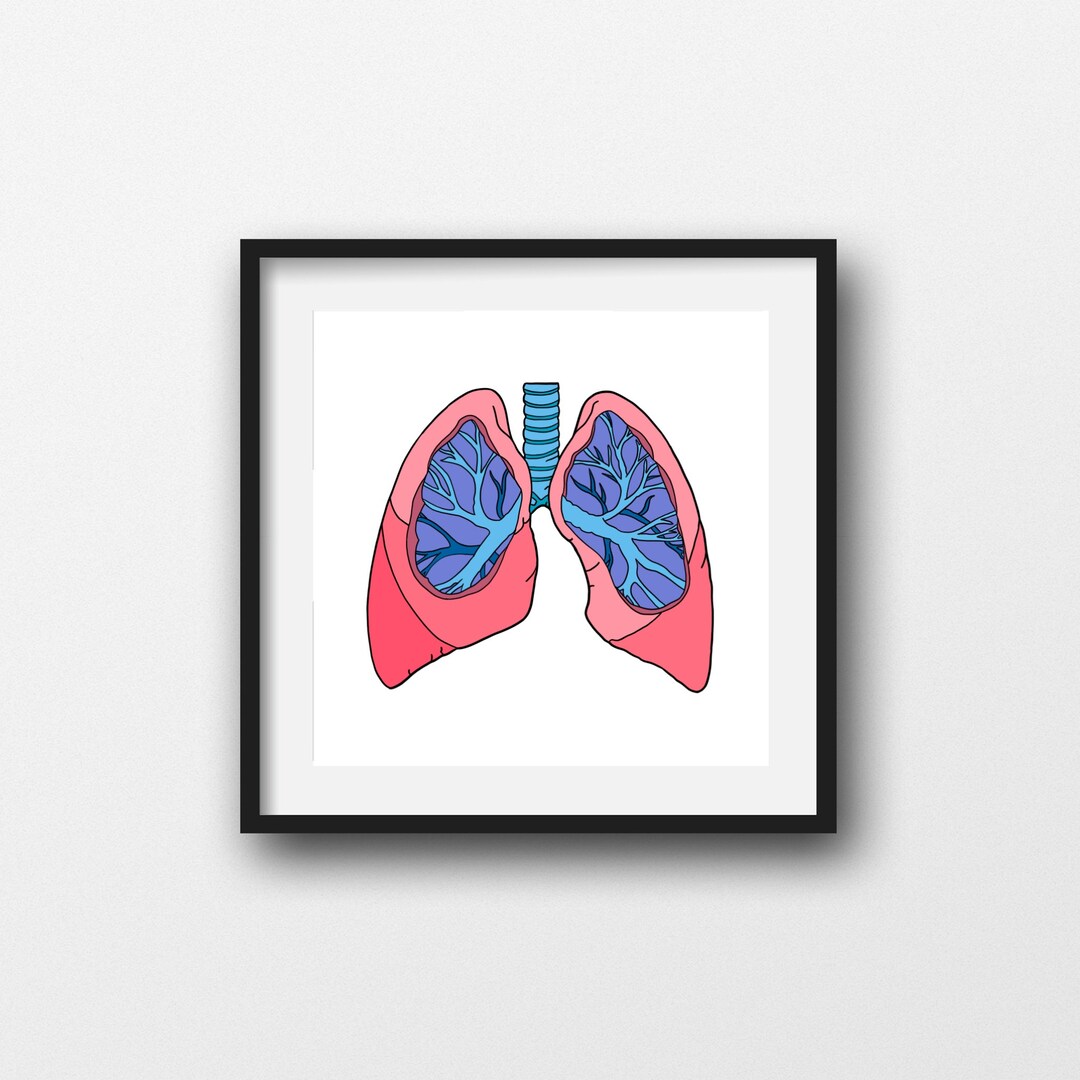 Artivive Augmented Reality Anatomical Lungs Print - Human Anatomy ... Artivive Augmented Reality Anatomical Lungs Print - Human Anatomy ...
