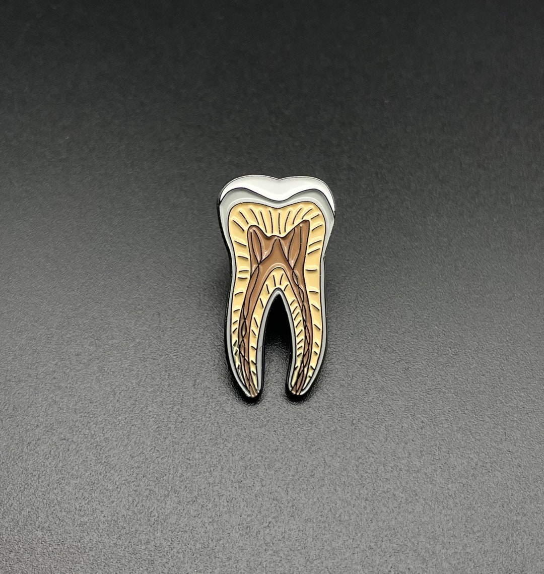 Tooth Pin - Enamel Pin - Anatomy - Medical - Etsy