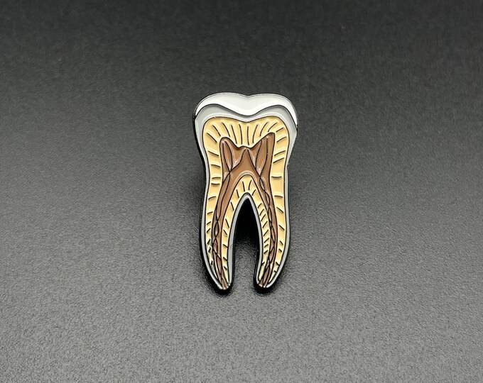 Tooth Pin Enamel Pin Anatomy Medical - Etsy