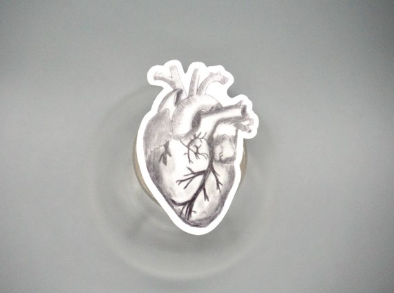 Heart Sticker Anatomy Sticker Medicine Medical Sticker - Etsy