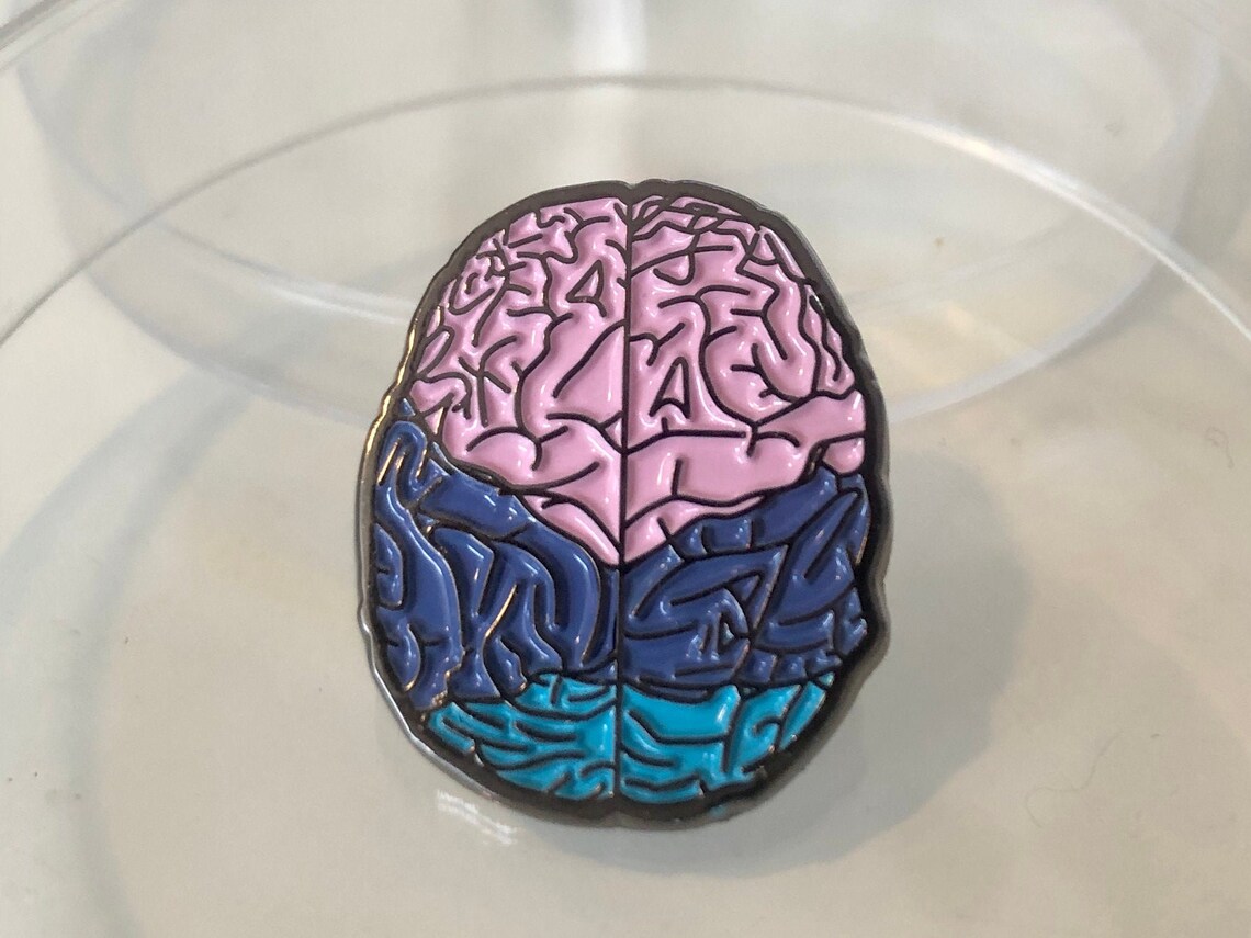 Brain Pin enamel pin anatomy medical | Etsy