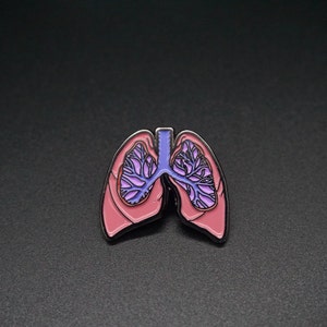 Trio Organ Pin Pack - Enamel Pin - Anatomy - Medical - Etsy