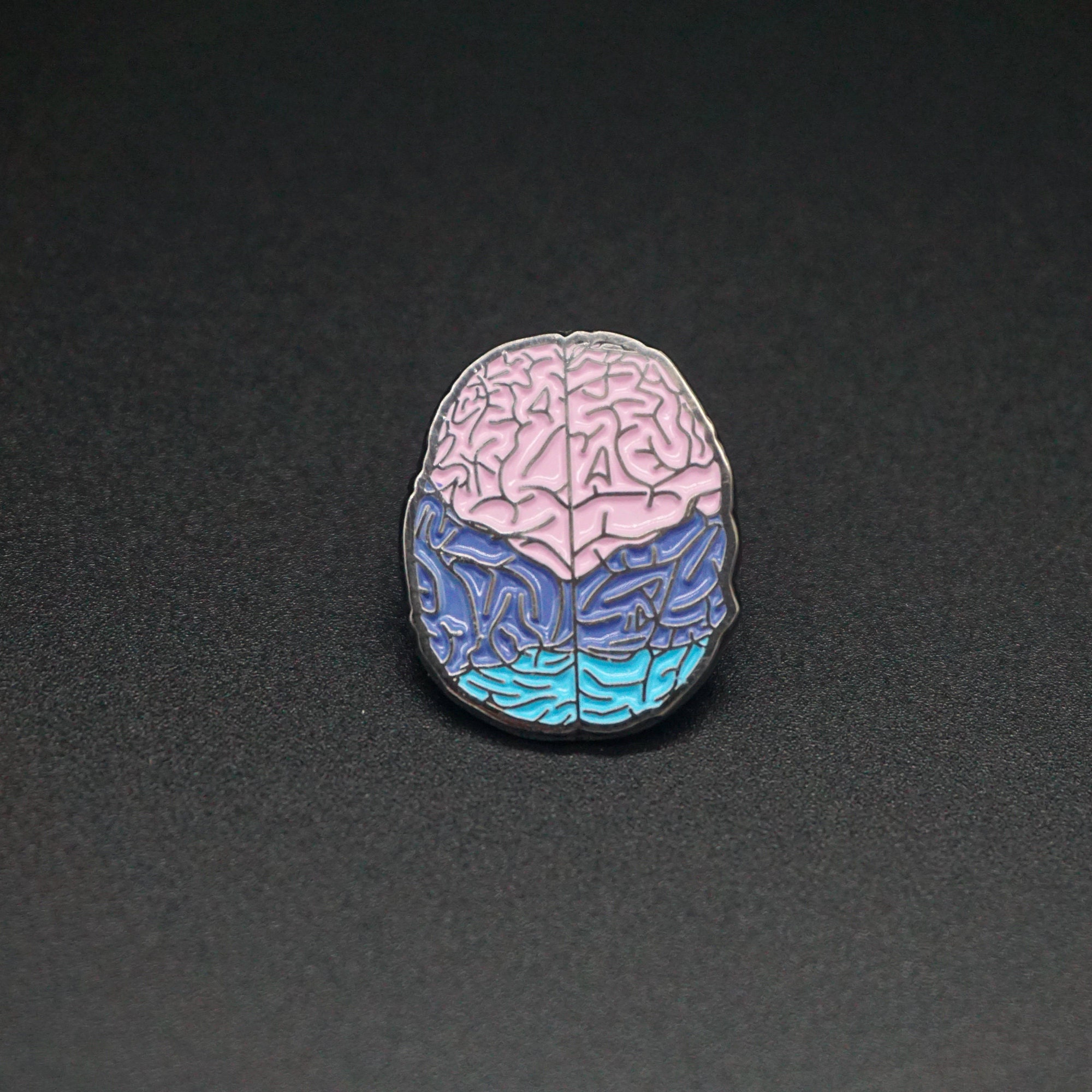 Trio Organ Pin Pack Enamel Pin Anatomy Medical | Etsy Canada