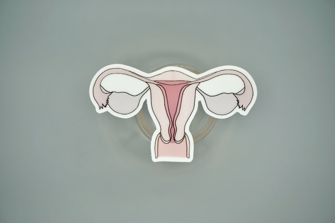 Reproductive System Sticker Anatomy Sticker Medicine Medical Sticker ...