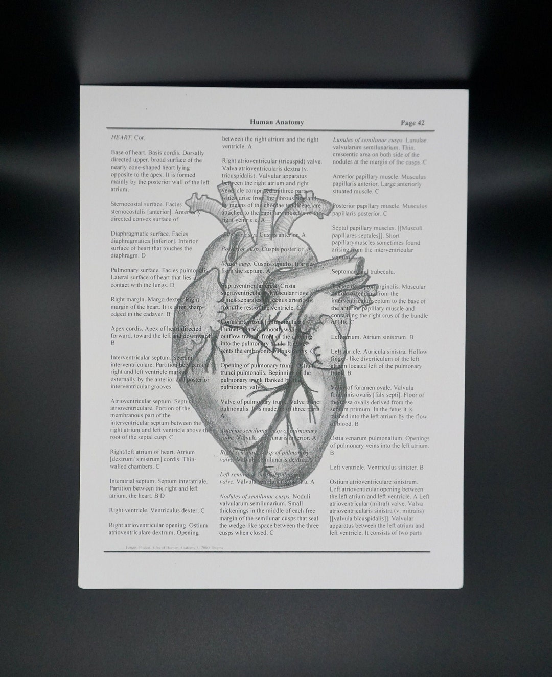 Heart Art Print - Textbook Page - Human Anatomy - Medical Print - Wall ...