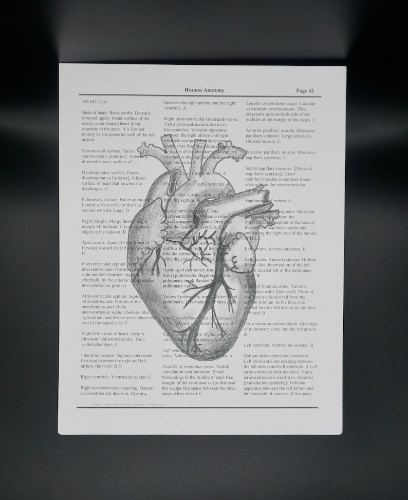 Heart Art Print - Textbook Page - Human Anatomy - Medical Print - Wall ...