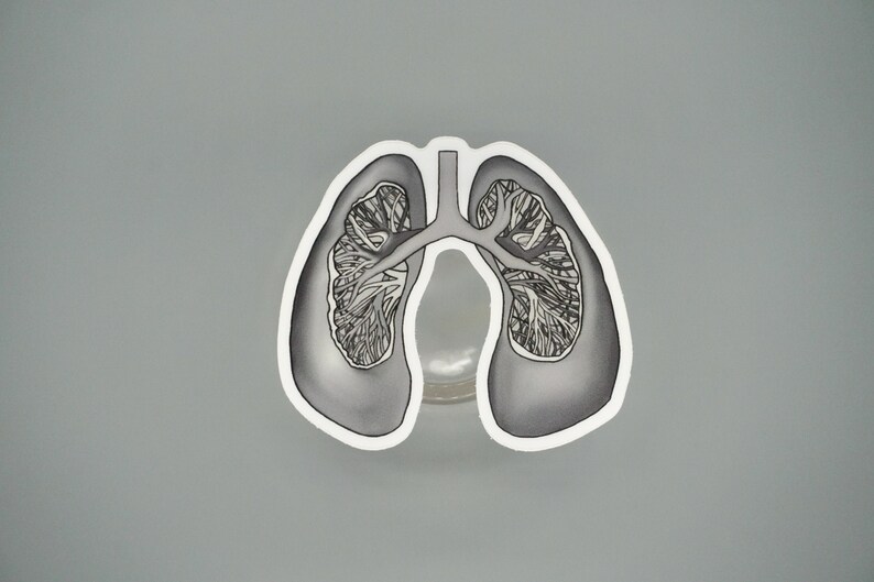 Lung Sticker Anatomy Sticker Medicine Medical Sticker - Etsy