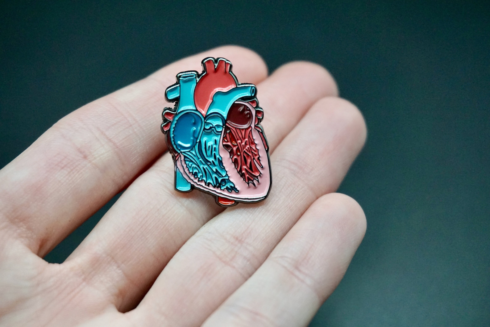 Open Heart Pin - Enamel Pin - Anatomy - Medical - Etsy