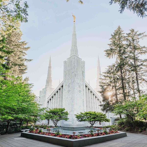 Temple - Etsy