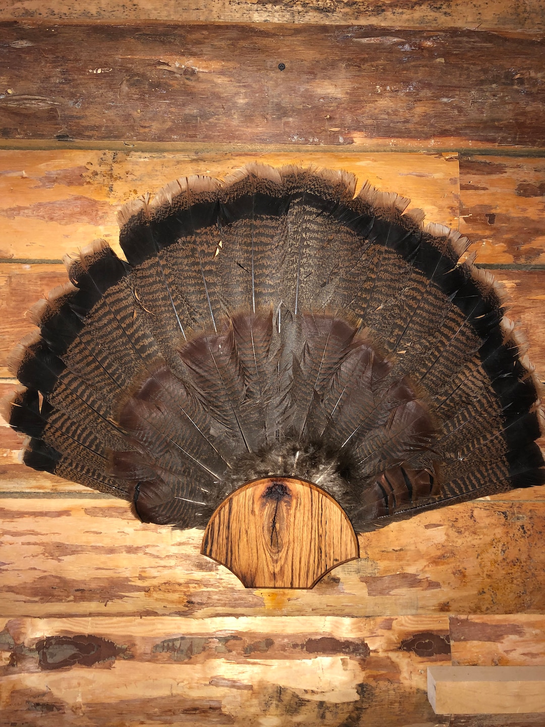Handmade Turkey Fan Plaque/display - Etsy