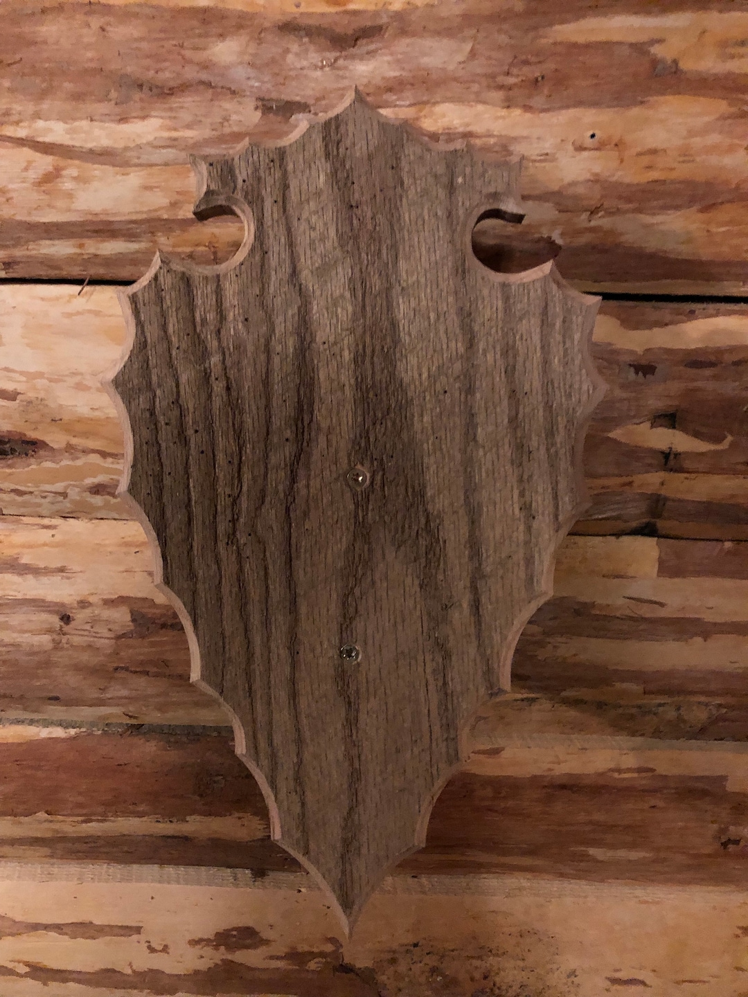 Old Oak European Mount Plaque - Etsy