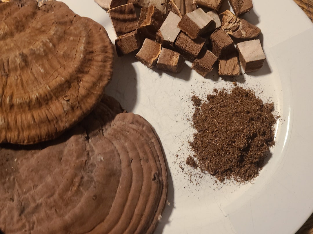 ARTIST CONK (ganoderma Applanatum) - Etsy