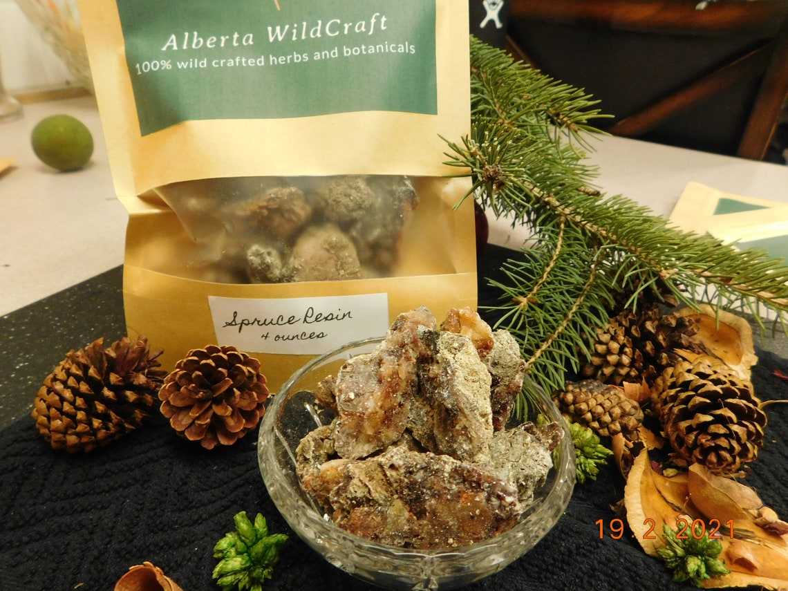 RAW Canadian Spruce Resin spruce gum spruce pitch diy | Etsy