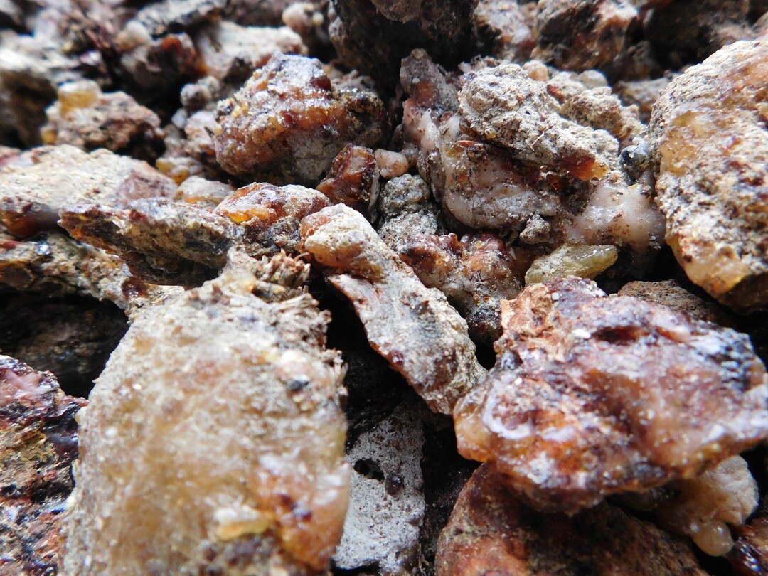 Spruce Resin Spruce Pitch Spruce Gum Raw Spruce Resin - Etsy