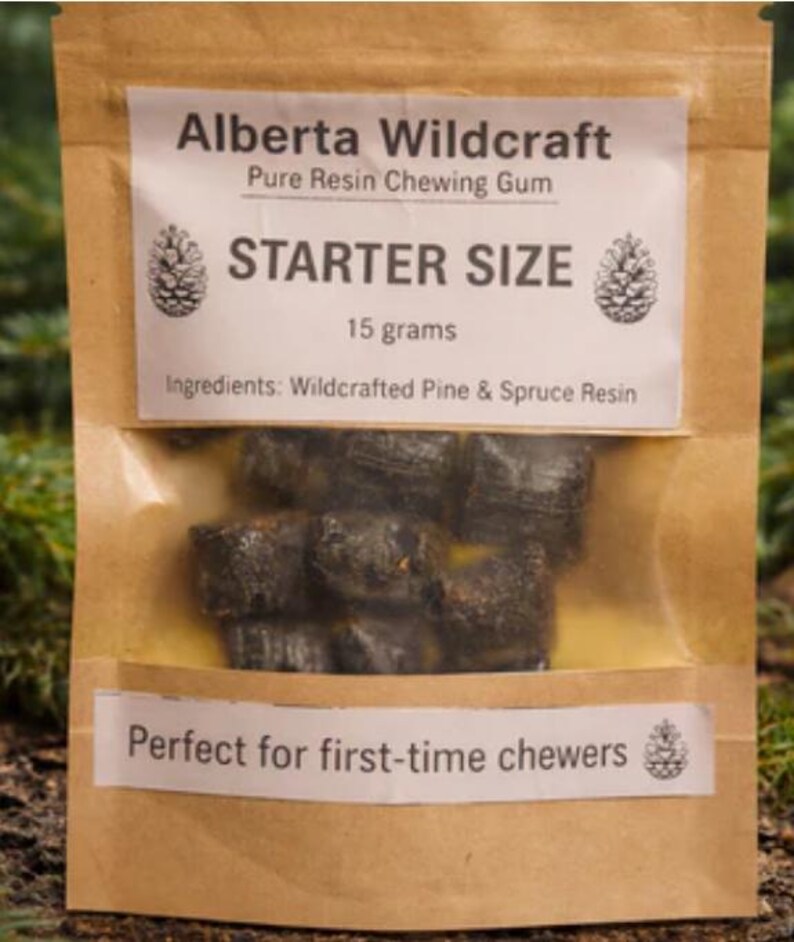Spruce & Pine Resin Chewing Gum – Starter Size (15 G) | Wild-harvested ...