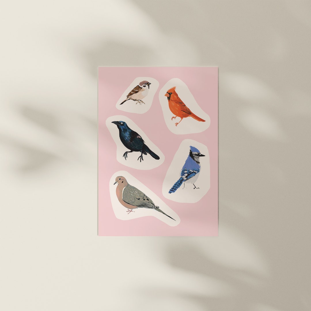 Canadian Birds Art Print - Etsy