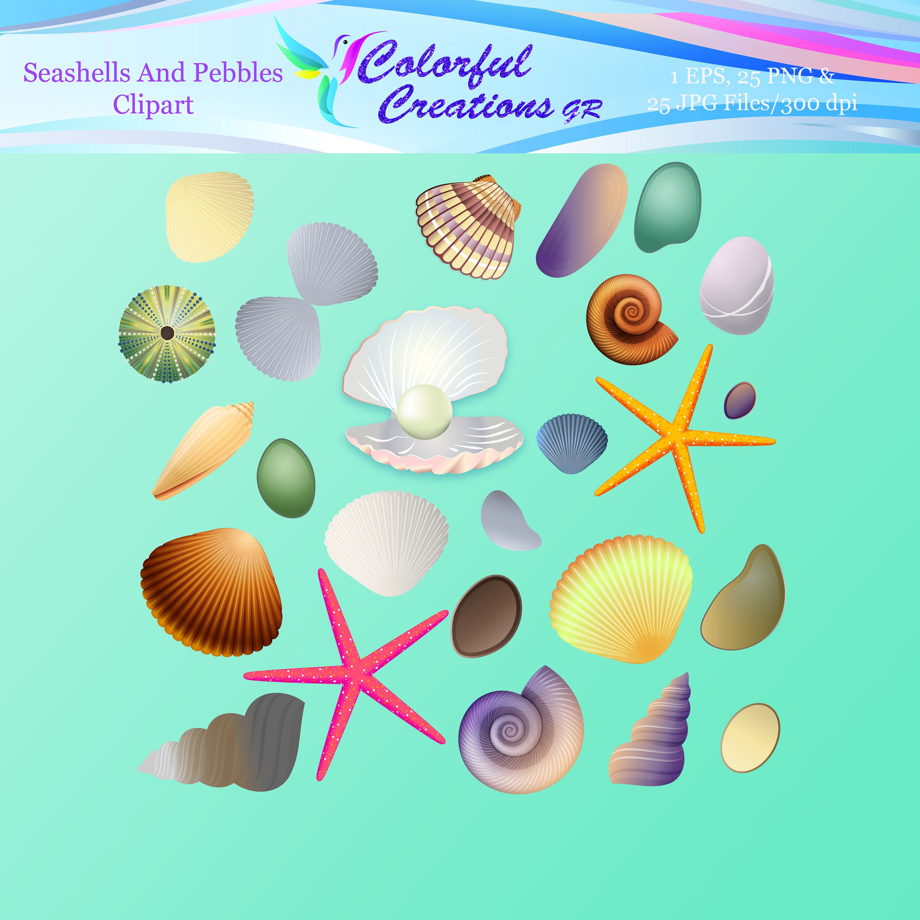 Sea Shells Clipart, Summer Clipart, Starfish Clipart, Pebbles, Seashell ...